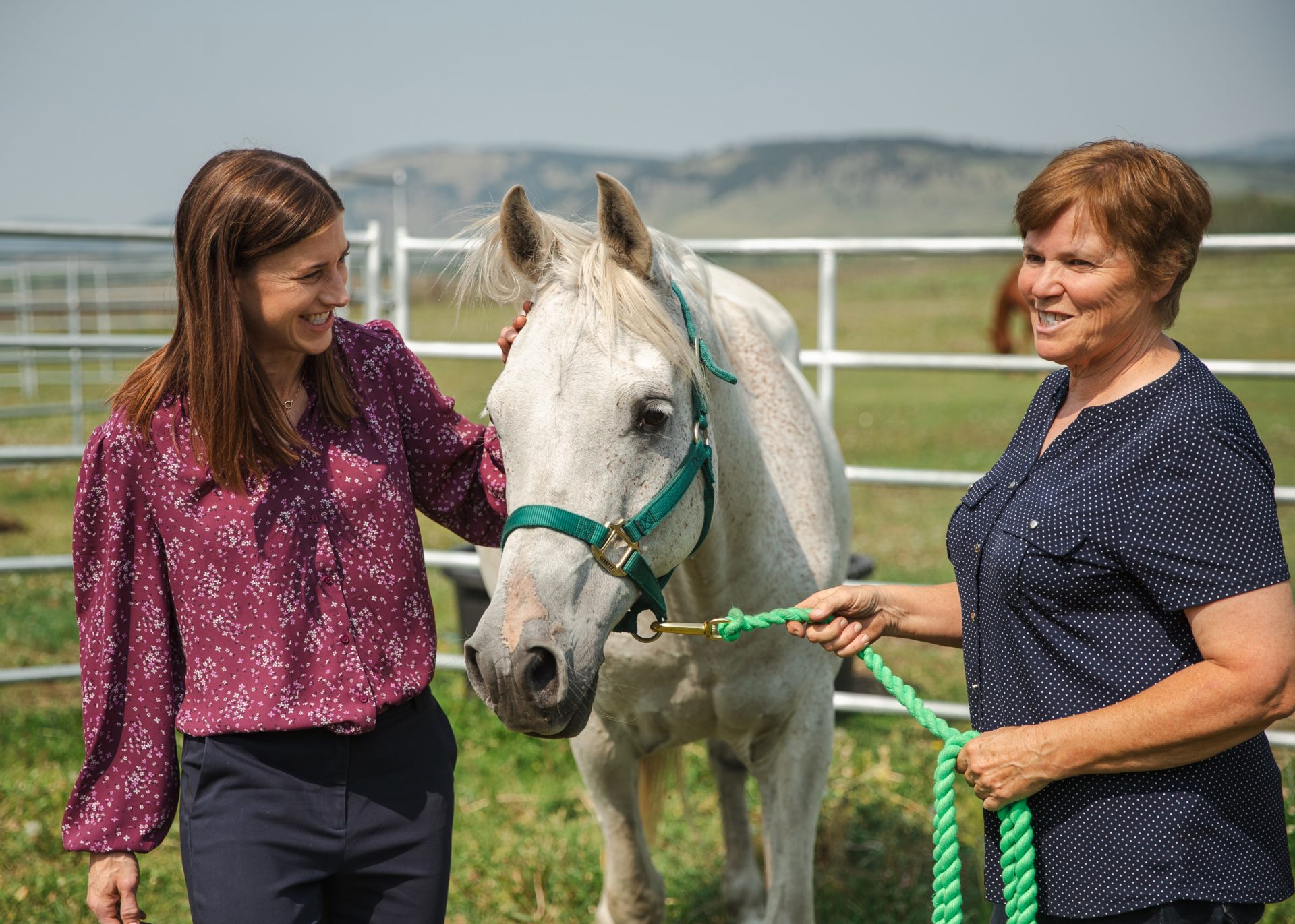 Fee for Service Financial Planner | Three60 Wealth | Calgary, AB